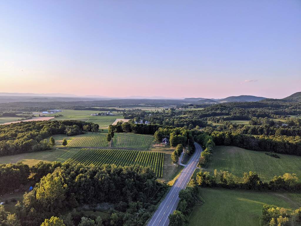 Victory View Vineyard